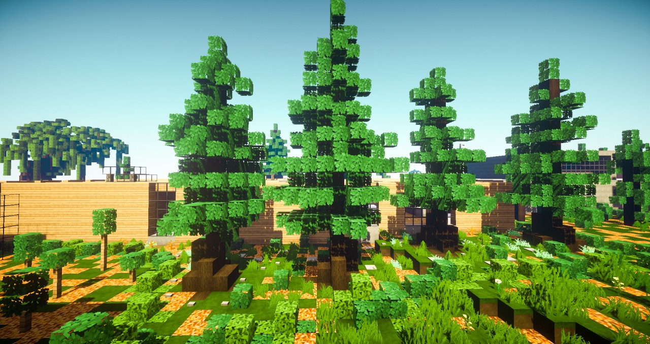 Pine |cubed creative| Minecraft Map
