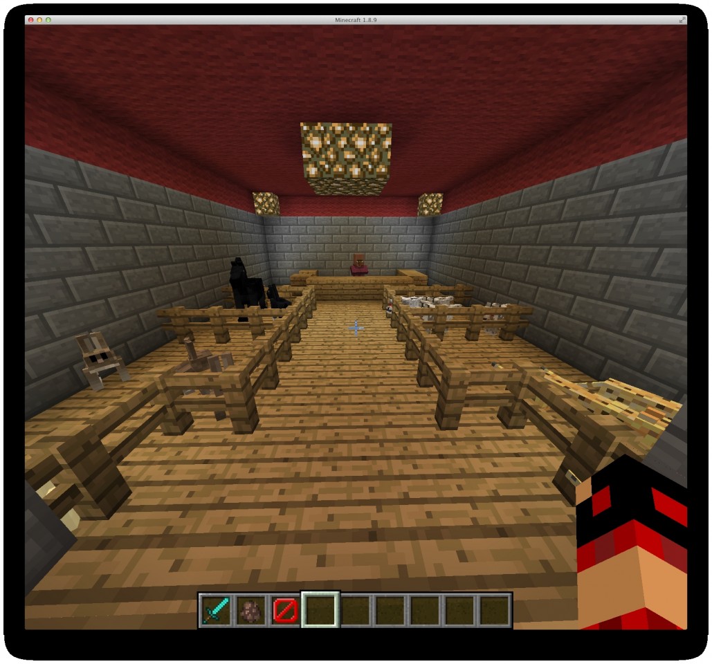 Pet Shop Minecraft Map