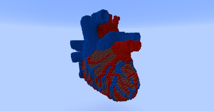 3d Human heart Minecraft Map