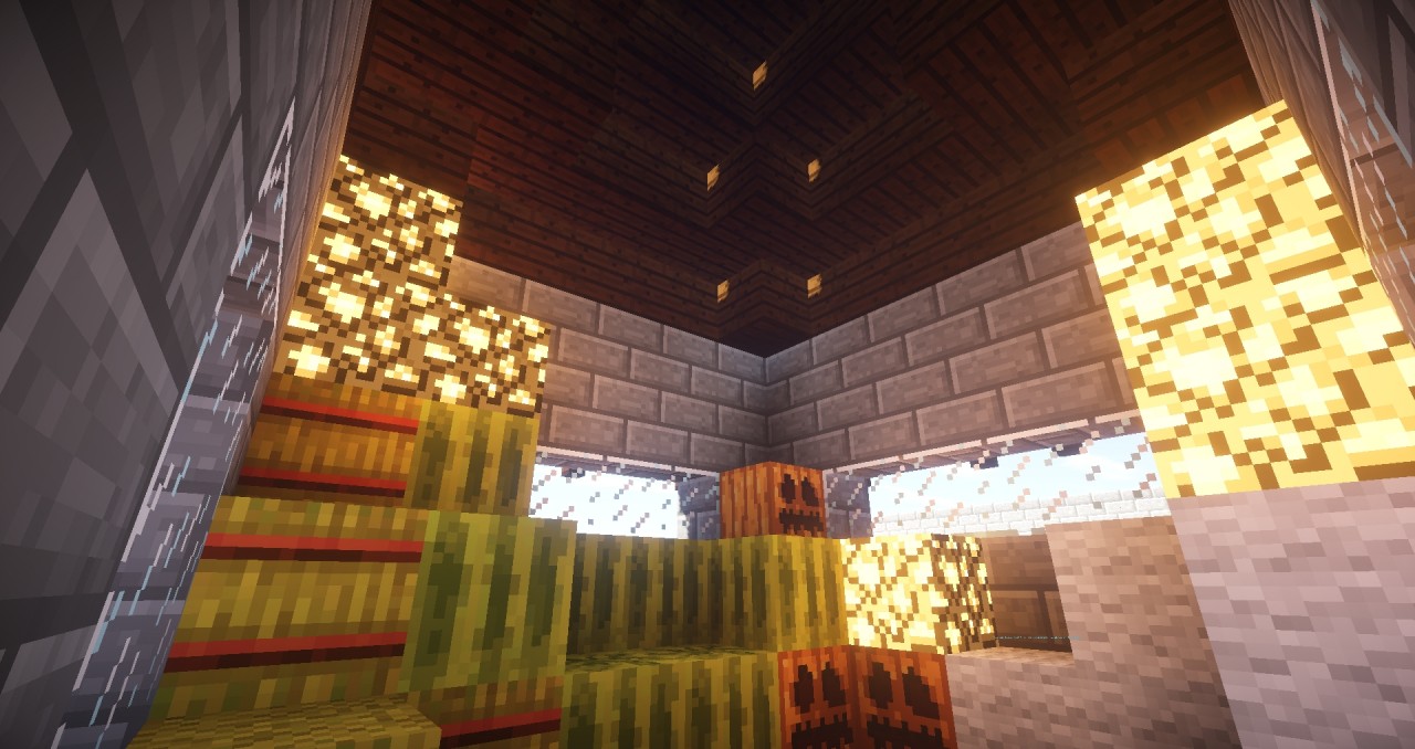 Storage House Minecraft Map