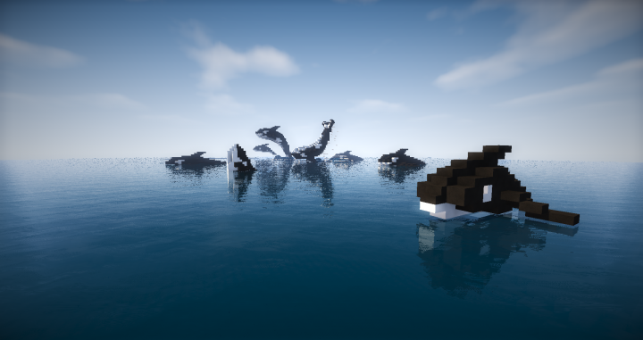 Orcas and Whales Minecraft Map