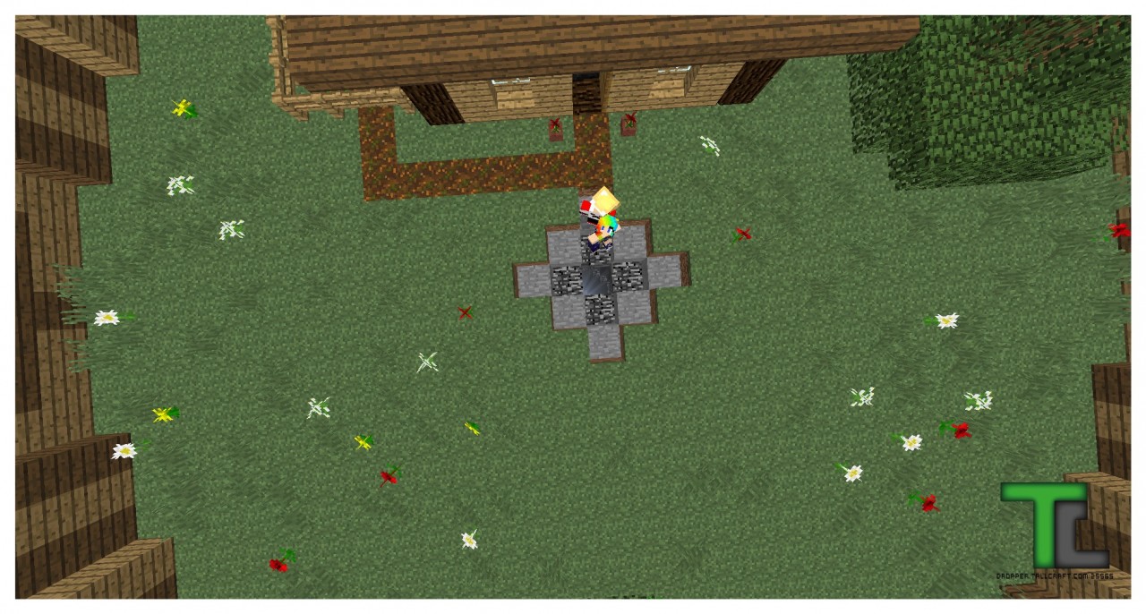 Tallcraft Dropper Minecraft Map