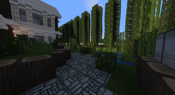 Symmetrical Town Houses Minecraft Map