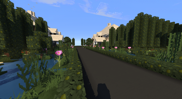 Symmetrical Town Houses Minecraft Map