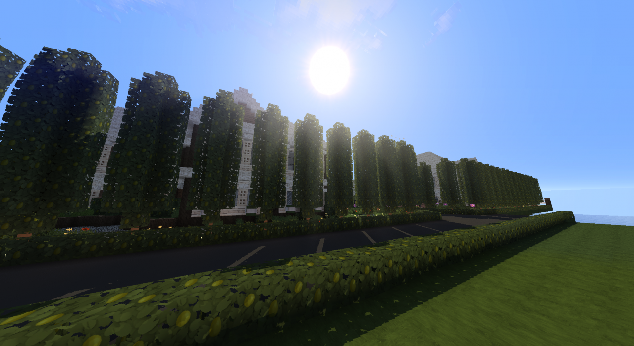 Symmetrical Town Houses Minecraft Map