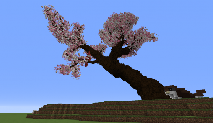 Great Sakura Tree Minecraft Map