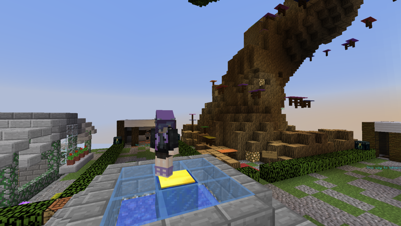 Infinity Survival Minecraft Server