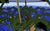 TEC Craft (Skyblock & Survival) Minecraft Server