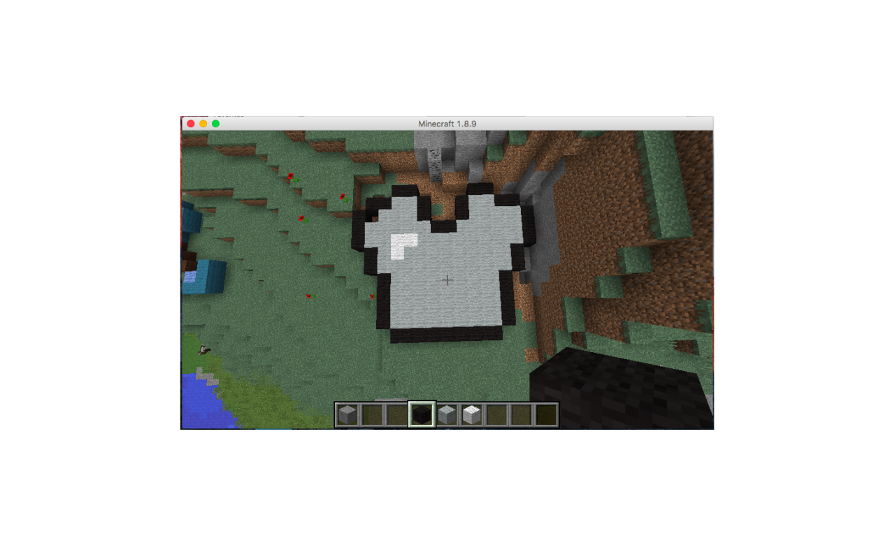 Random stuff Minecraft Map