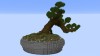 Bonsai Tree Minecraft Map