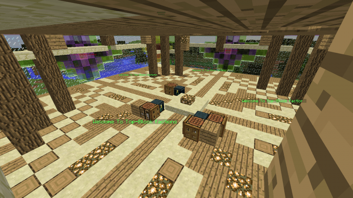 TopBlock Minecraft Server