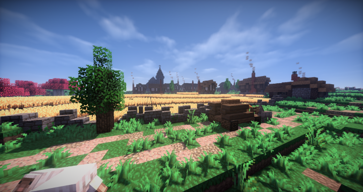 Kameraska - a somewhat realistic village Minecraft Map