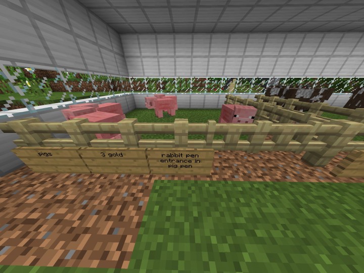 Pet Shop Minecraft Map