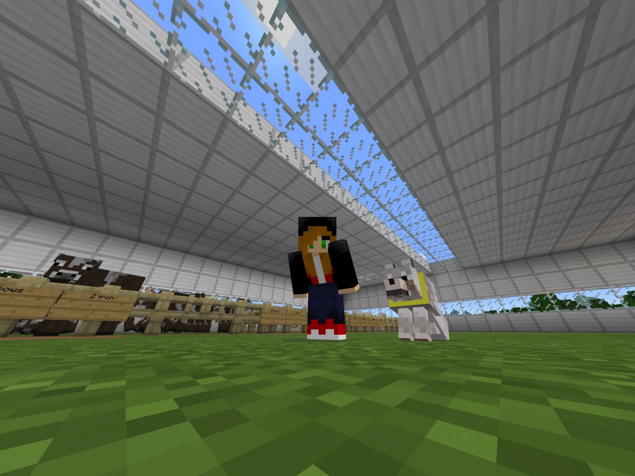 Pet Shop Minecraft Map