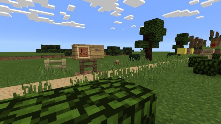 Paper Mario N64 Prologue (PE) Minecraft Map