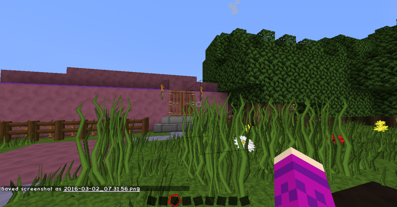 Minecraft Diaries Minecraft Map