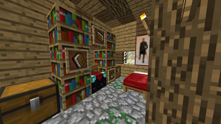 Oasis With a Hermit :D Minecraft Map