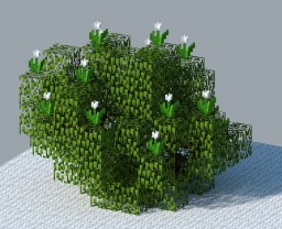 Shrub Minecraft Maps | Planet Minecraft Community