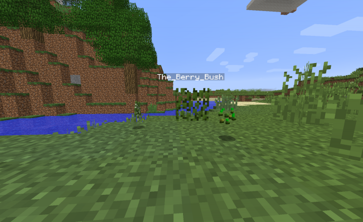 One Command Berry Bush Minecraft Map