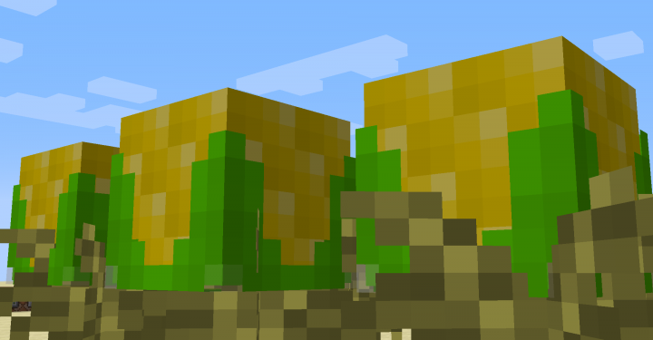 Corn and Popcorn | One Command | 1.10+ Minecraft Map