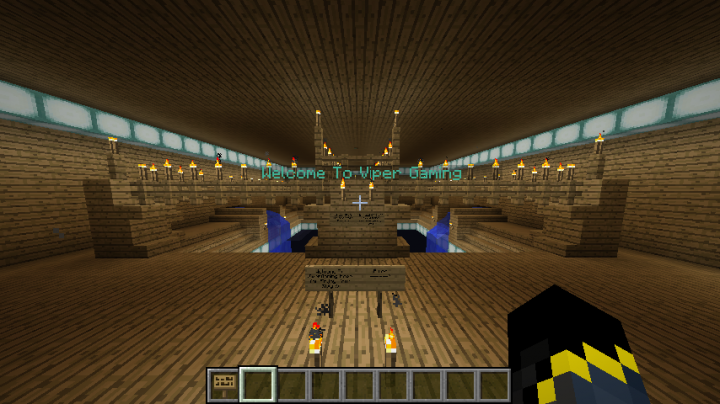 Viper Gaming Minecraft Server