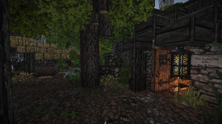 Sentinal Stand - Medieval Plot Minecraft Map