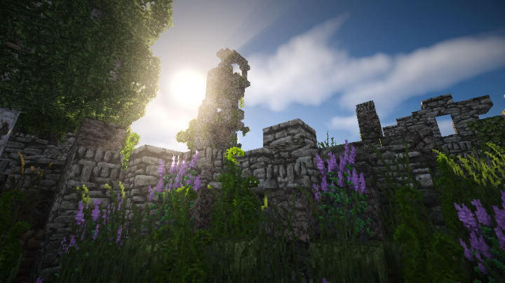 Sentinal Stand - Medieval Plot Minecraft Map