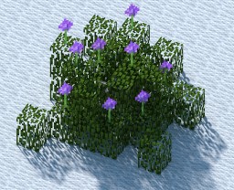Shrub Minecraft Maps | Planet Minecraft Community