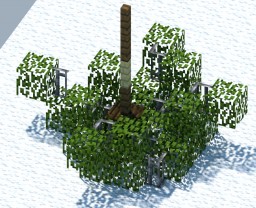 Shrub Minecraft Maps | Planet Minecraft Community