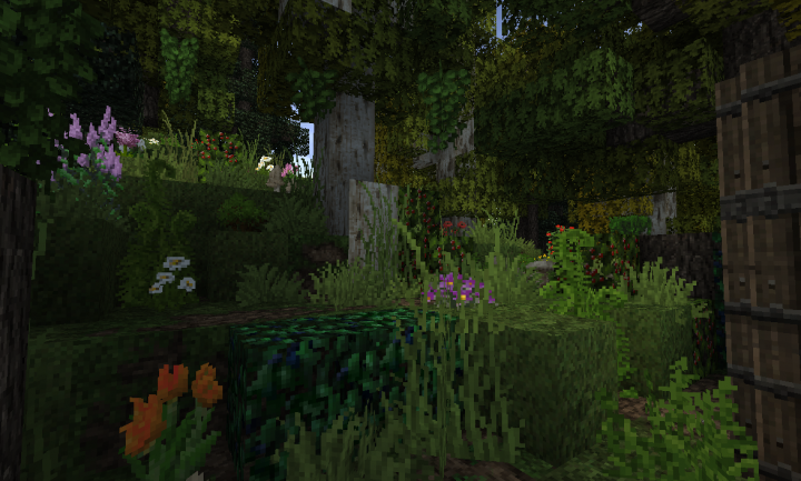 Roofed Woodlands - Custom Biome #WeAreConquest Minecraft Map