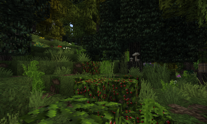 Roofed Woodlands - Custom Biome #WeAreConquest Minecraft Map