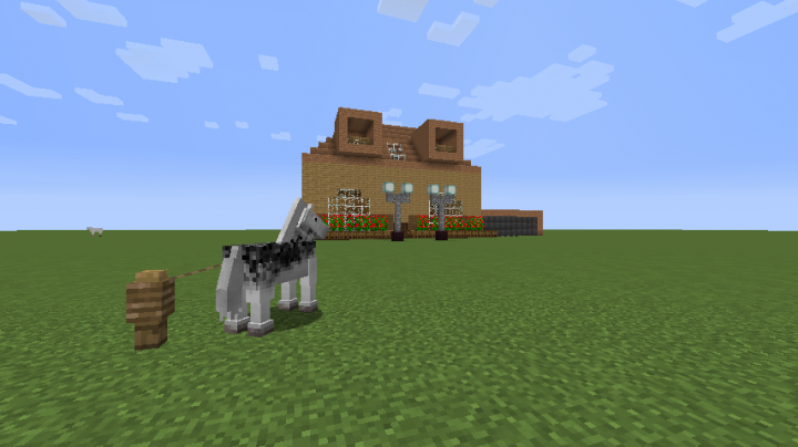 *WELCOME TO HOUSE* Minecraft Map