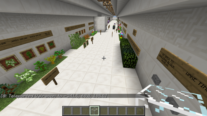 Minecraft Museum for Resource showcase/presentation Minecraft Map