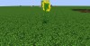 Exploding Flowers in One Command Minecraft Map