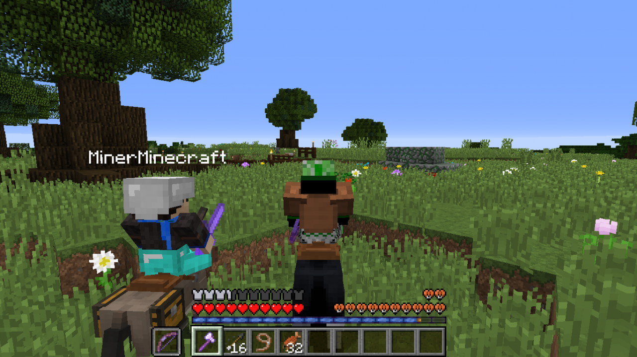 Minecraft, The Rpg Minecraft Map