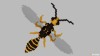 Wasp - downloadable Minecraft Map