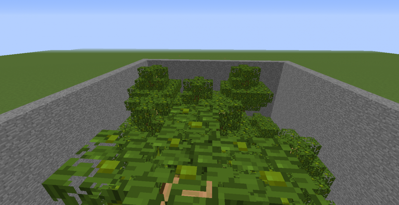 find the butten Minecraft Map