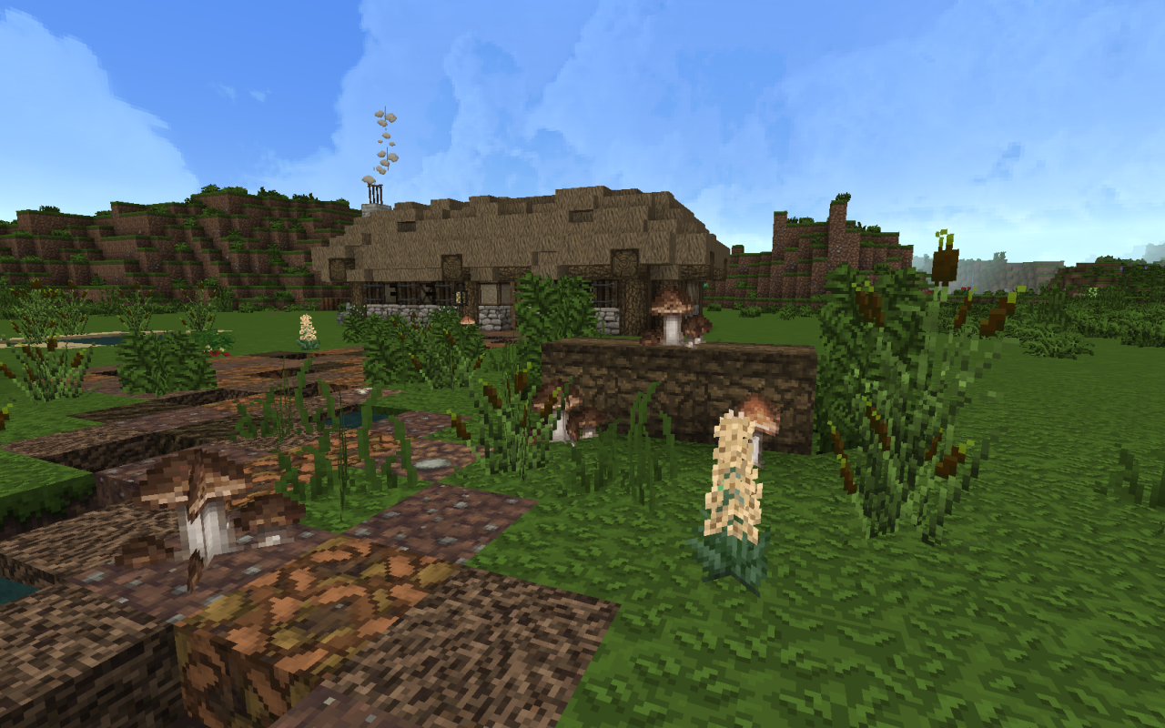 Medieval poor farm Minecraft Map