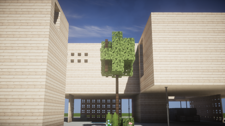 The Birch House Minecraft Map