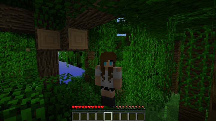 How to survive on your first days of Minecraft