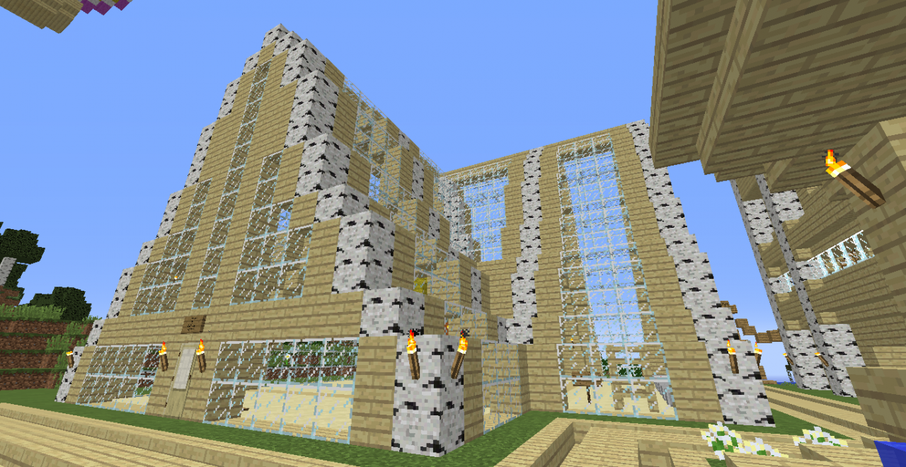 Birch City Minecraft Map