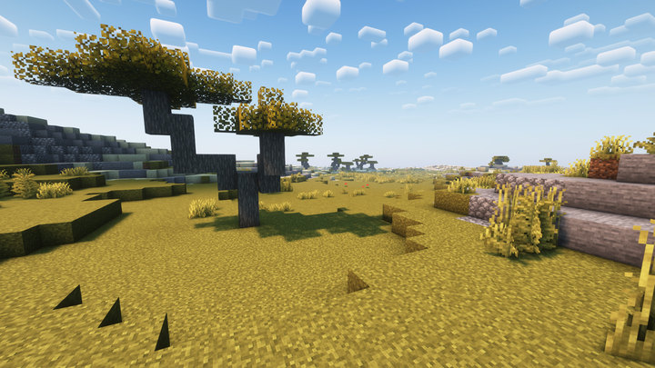 Dry Lands Minecraft Map