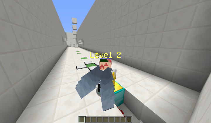 On this map you will find five levels elytra parkour in which you have ...