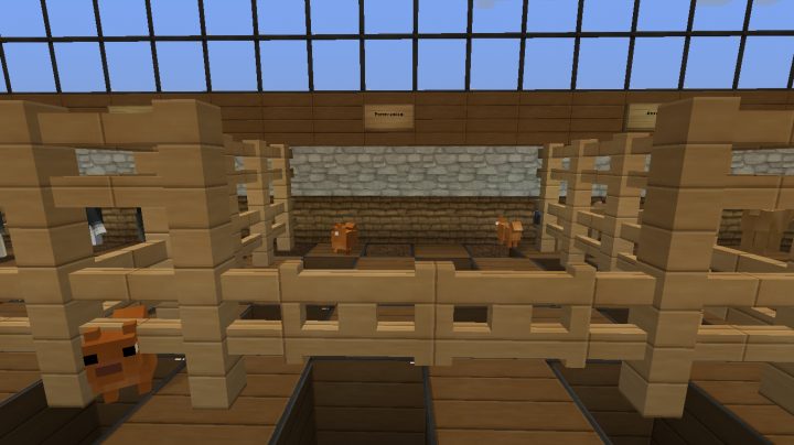 Pet Store Minecraft Map