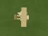 1903 Wright Flyer Minecraft Map