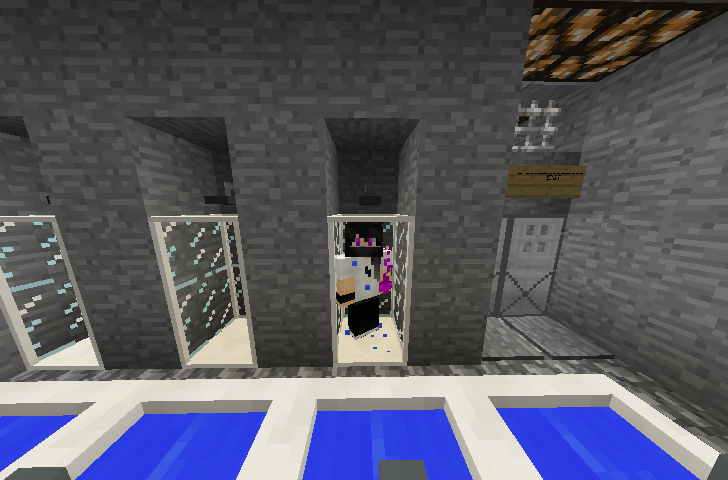 The Sims Project Minecraft Map