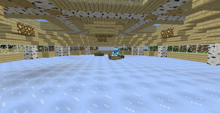 Birch City Minecraft Map