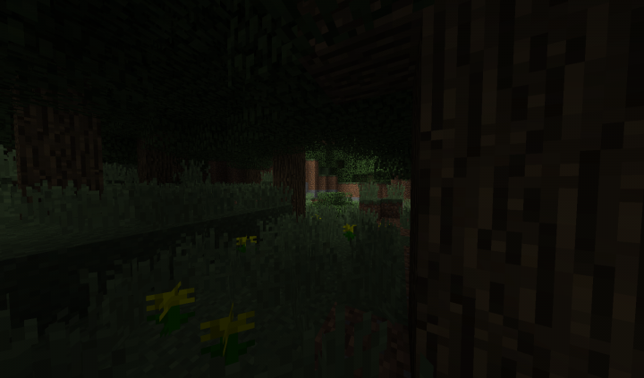 The Redstone Path Minecraft Map