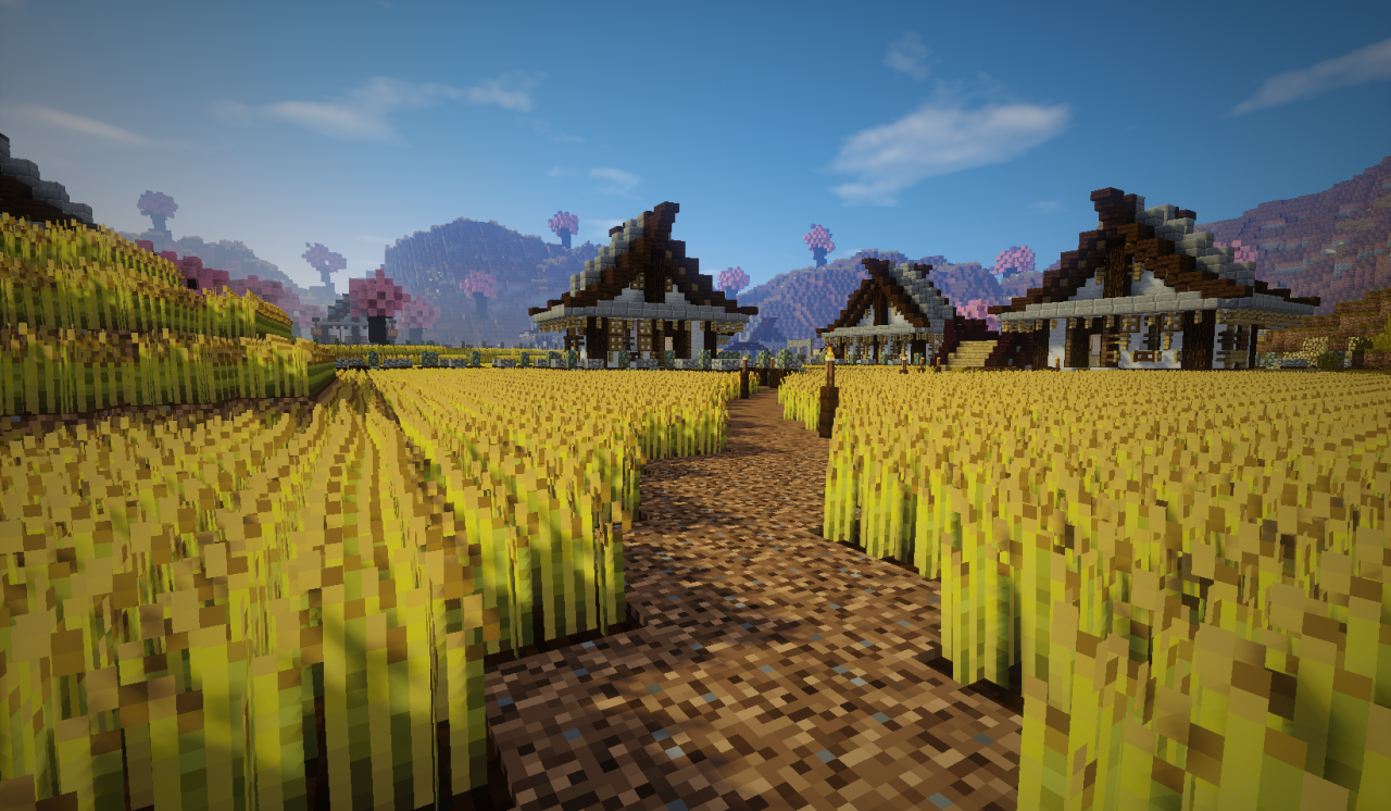 Hidden Village Minecraft Map