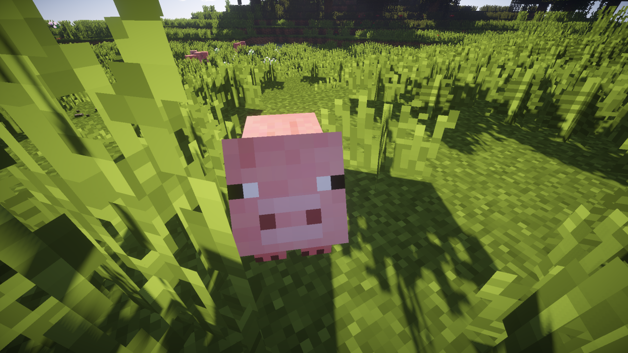 Survival Square Minecraft Map